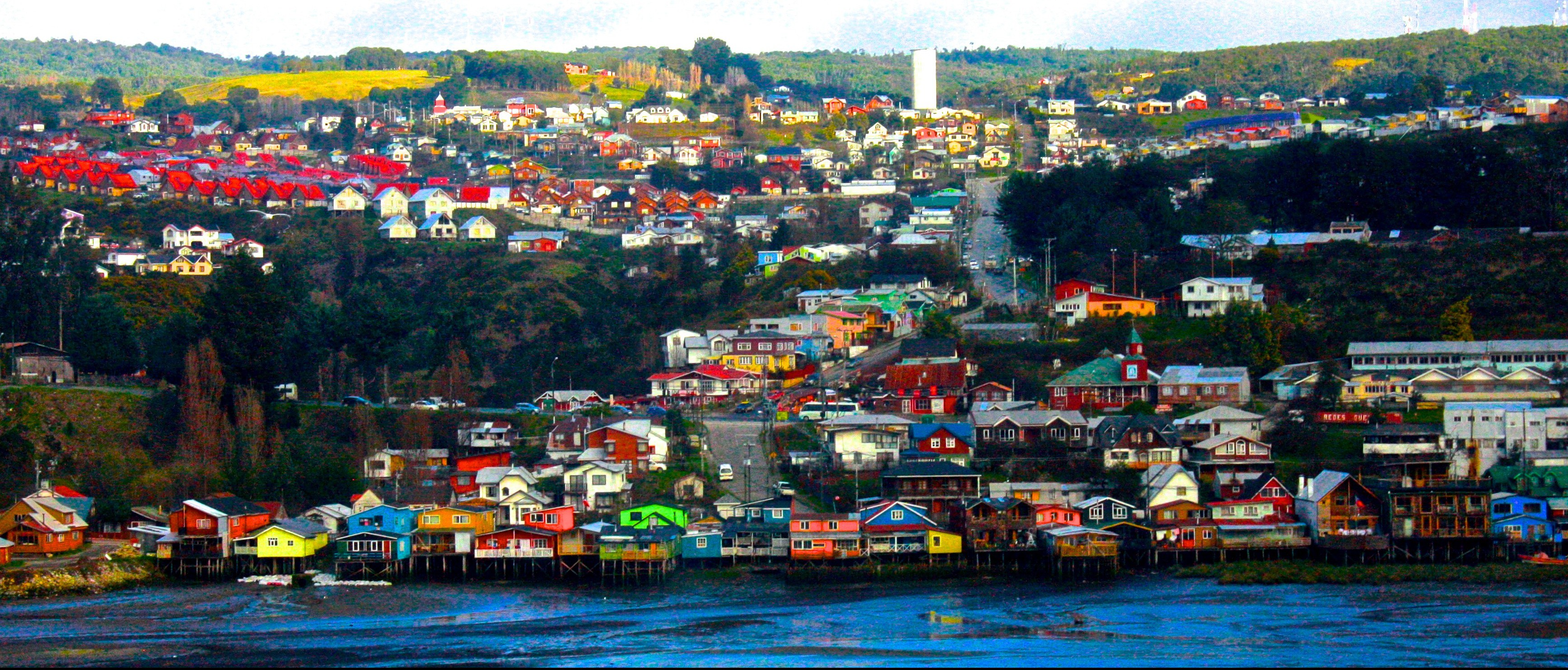 Whales and Penguins in Chiloé – VacayHack